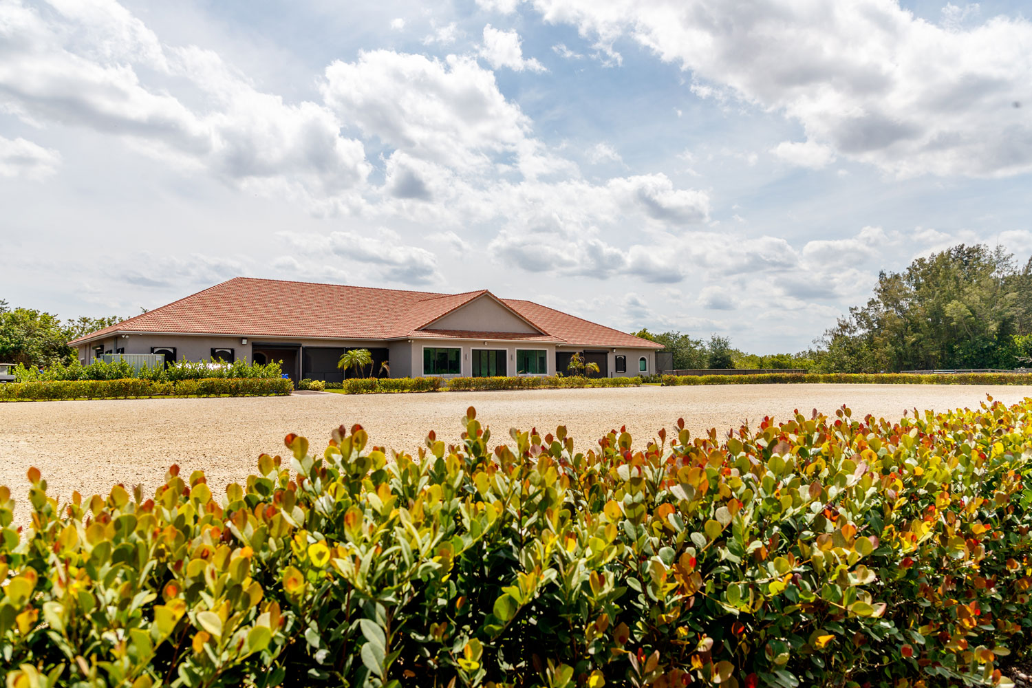 Gallery – Flying Cow Equestrian