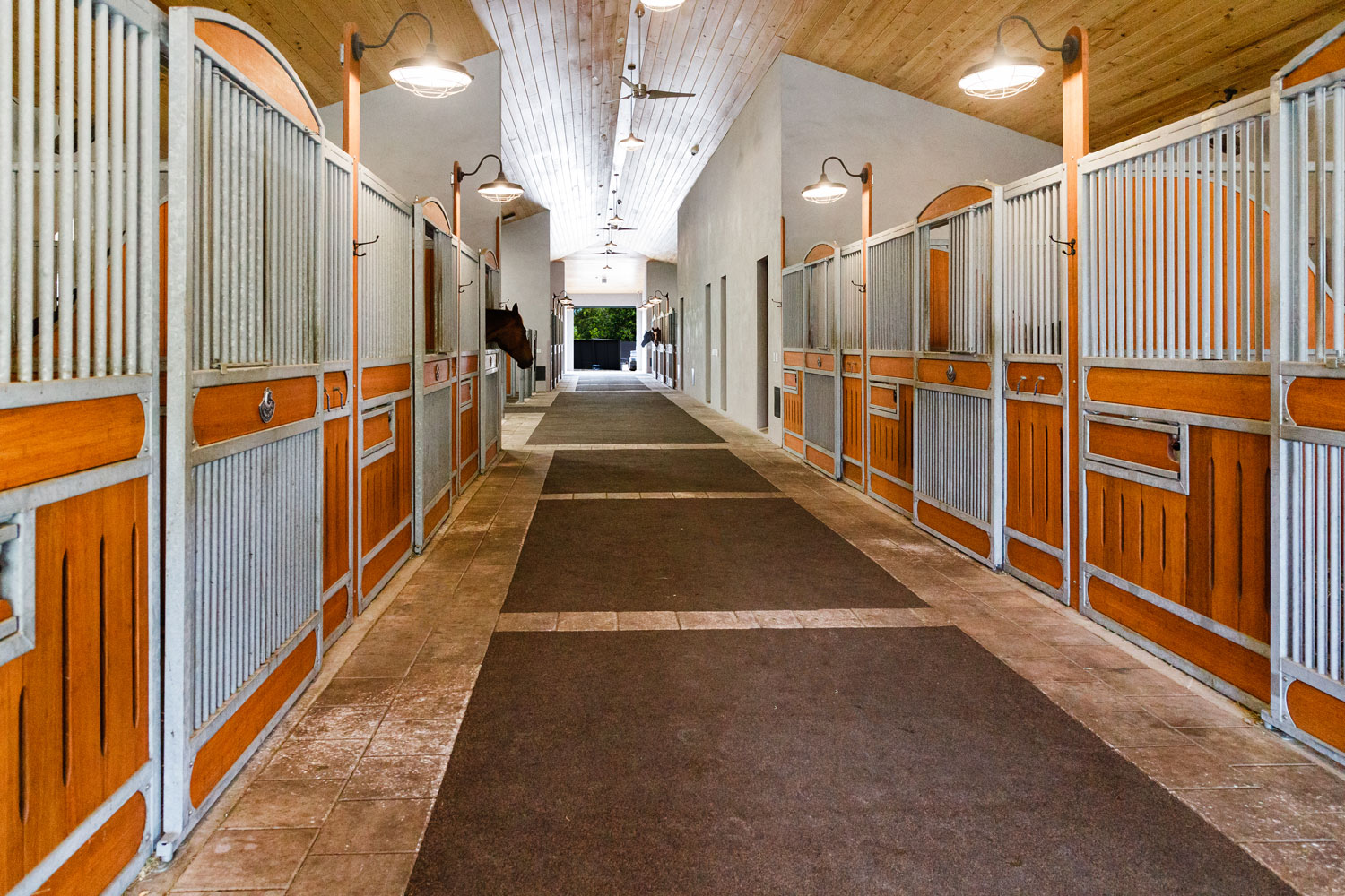 Gallery – Flying Cow Equestrian