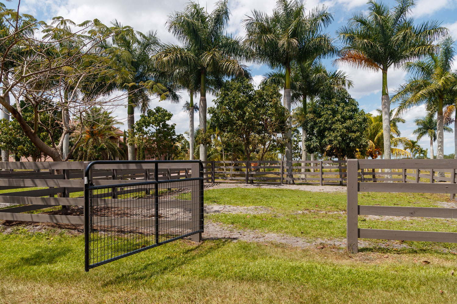 Gallery – Flying Cow Equestrian