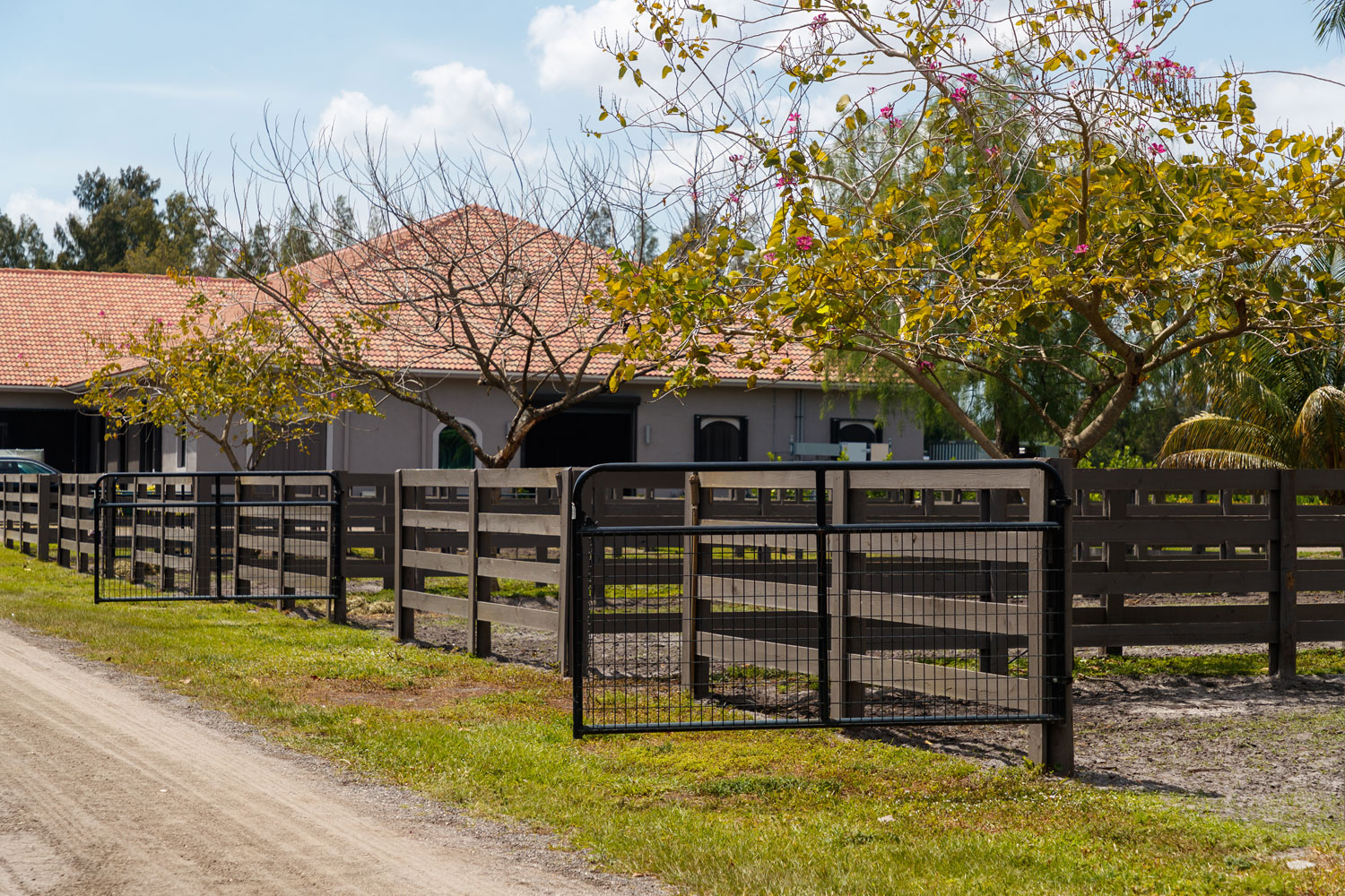 Gallery – Flying Cow Equestrian